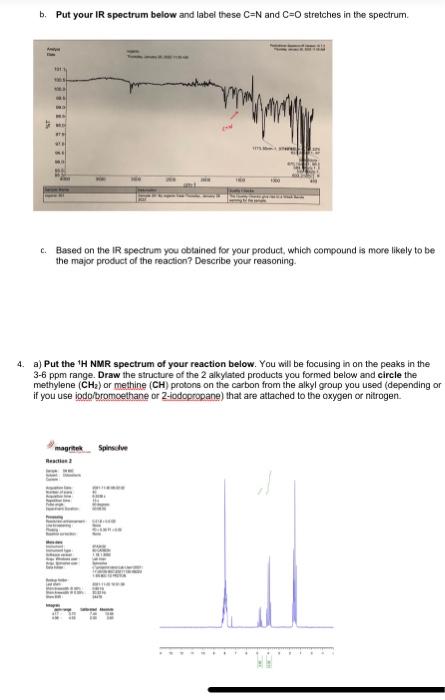 2. What is the molecular weight of N-ethylsaccharin | Chegg.com
