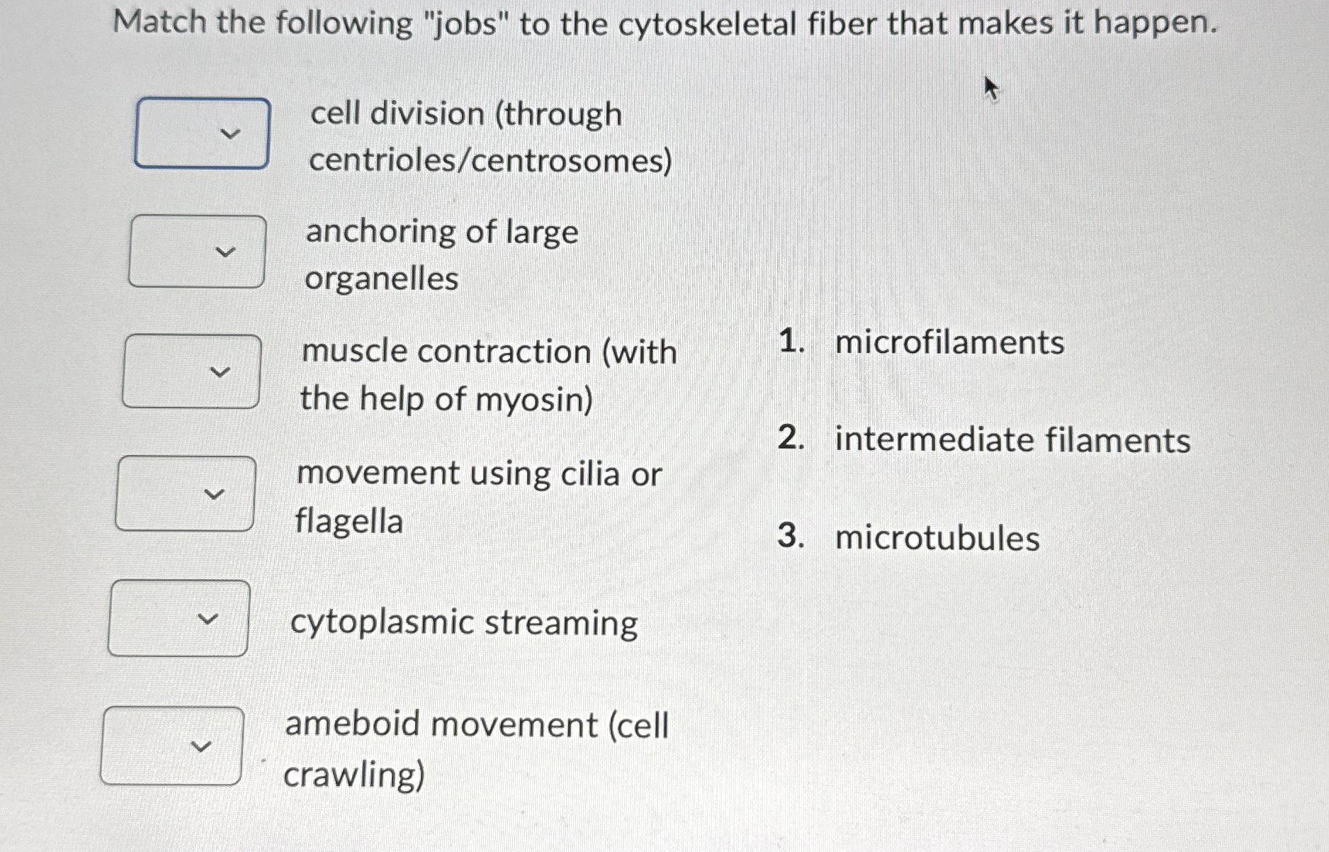 Solved Match the following "jobs" to the cytoskeletal fiber | Chegg.com