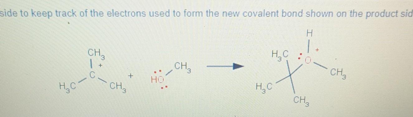 Solved Used curved arrows on the reactant side to keep track | Chegg.com