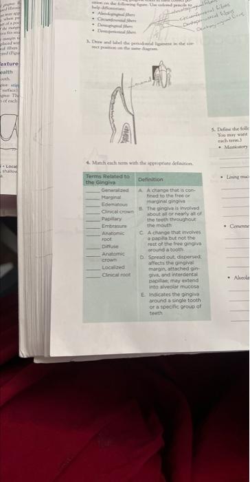Solved 4. Match each term with the appropriate definition. - | Chegg.com