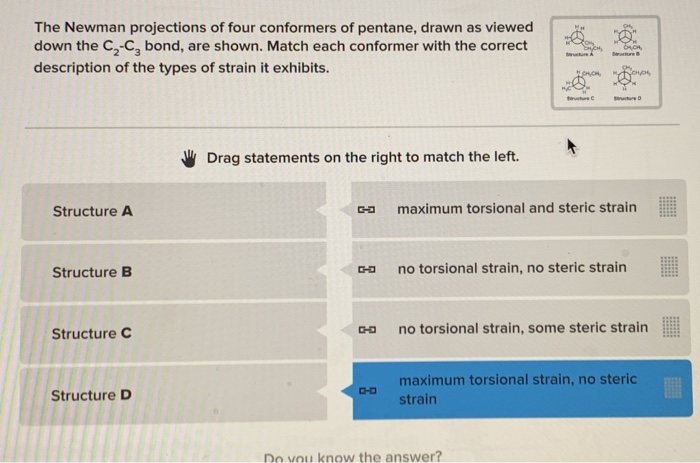Solved The Newman projections of four conformers of pentane, | Chegg.com