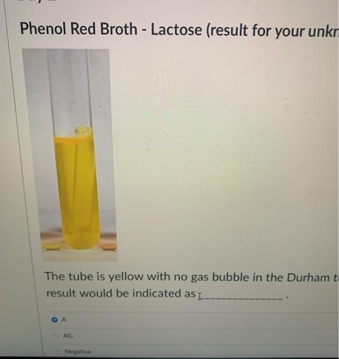 Solved QUE (a) (d) Phenol Red Broth (Glucose) Tube D, the | Chegg.com