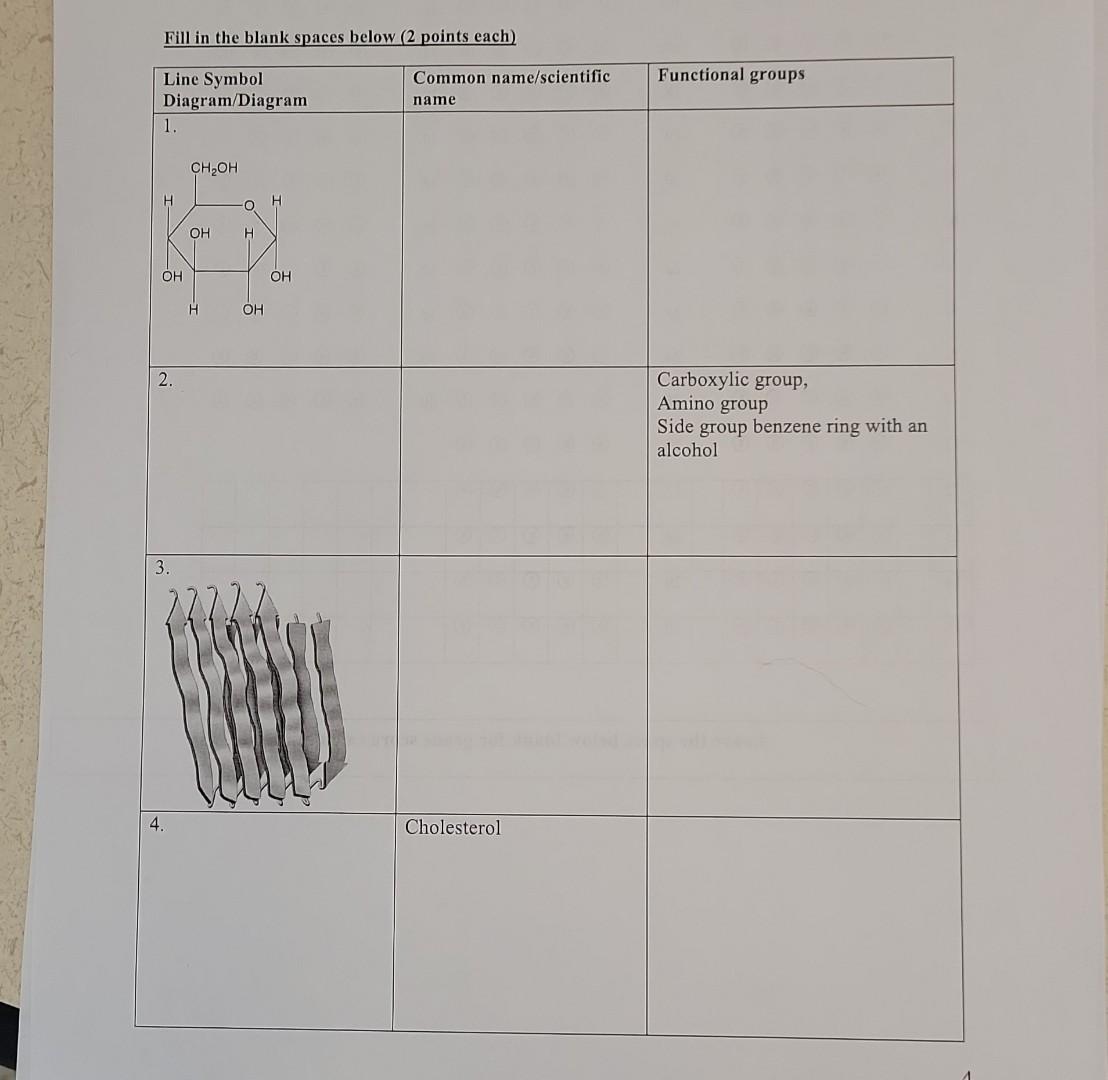 Solved Fill in the blank spaces below ( 2 points each) | Chegg.com