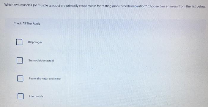 Solved Which two muscles (or muscle groups) are primarily | Chegg.com