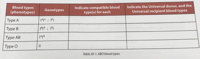 Solved Blood types (phenotypes) Genotypes indicate | Chegg.com