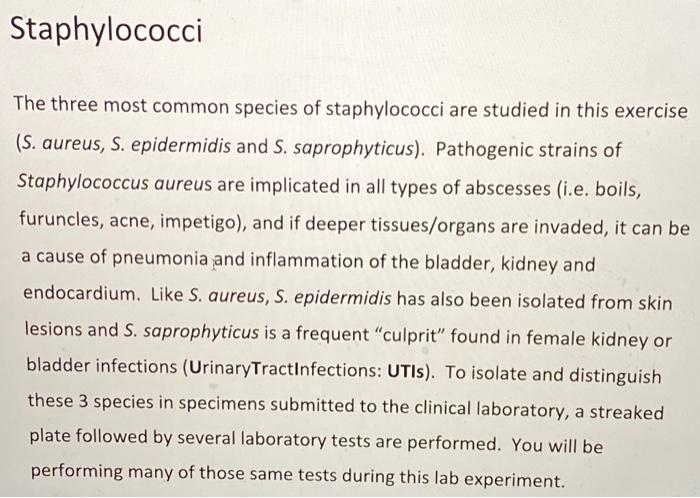 Solved Experiment 40 - Identification of Staphylococci S. | Chegg.com