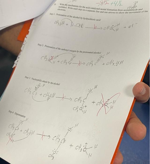 Solved a sparate line and dise arrous to show the movirment | Chegg.com