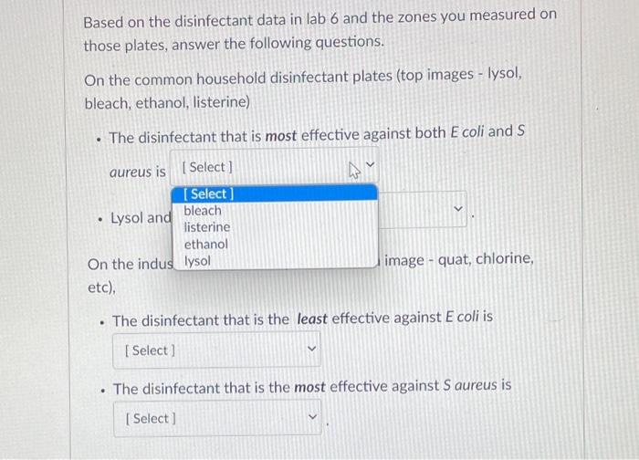 Solved Based on the disinfectant data in lab 6 and the zones | Chegg.com