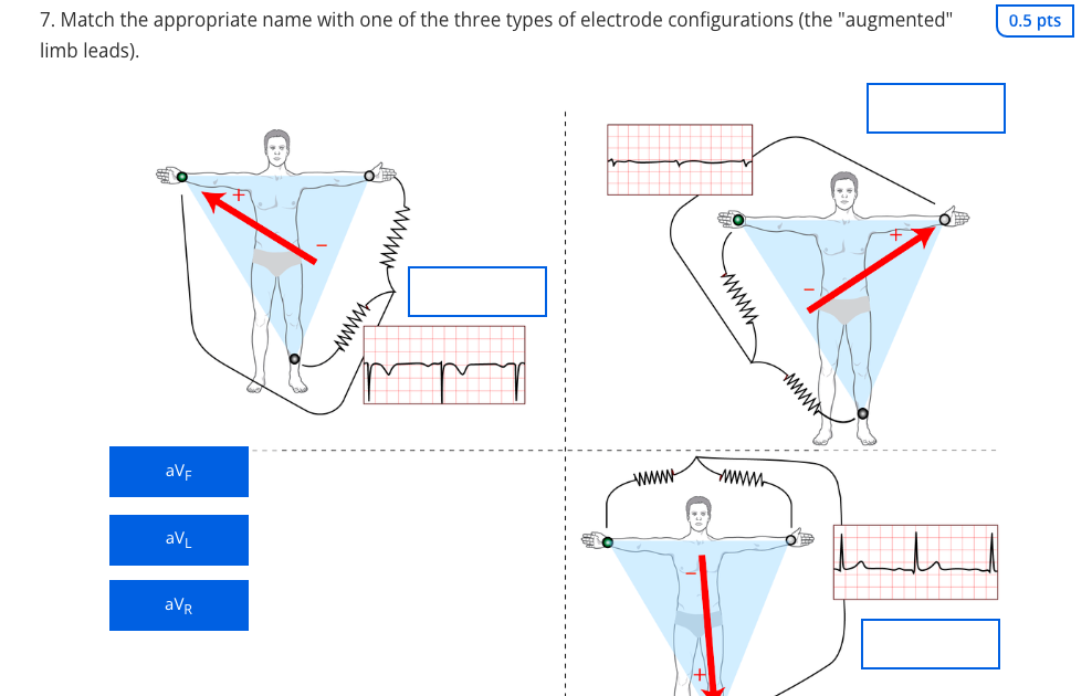 Solved Match the appropriate name with one of the three | Chegg.com