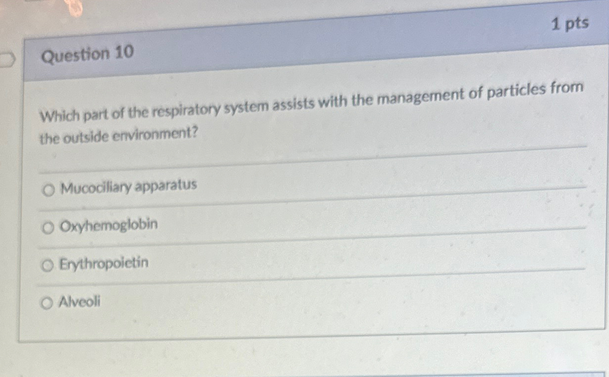 Solved Question 101 ptsWhich part of the respiratory system | Chegg.com Solved Question 101 ptsWhich part of the respiratory system | Chegg.com
