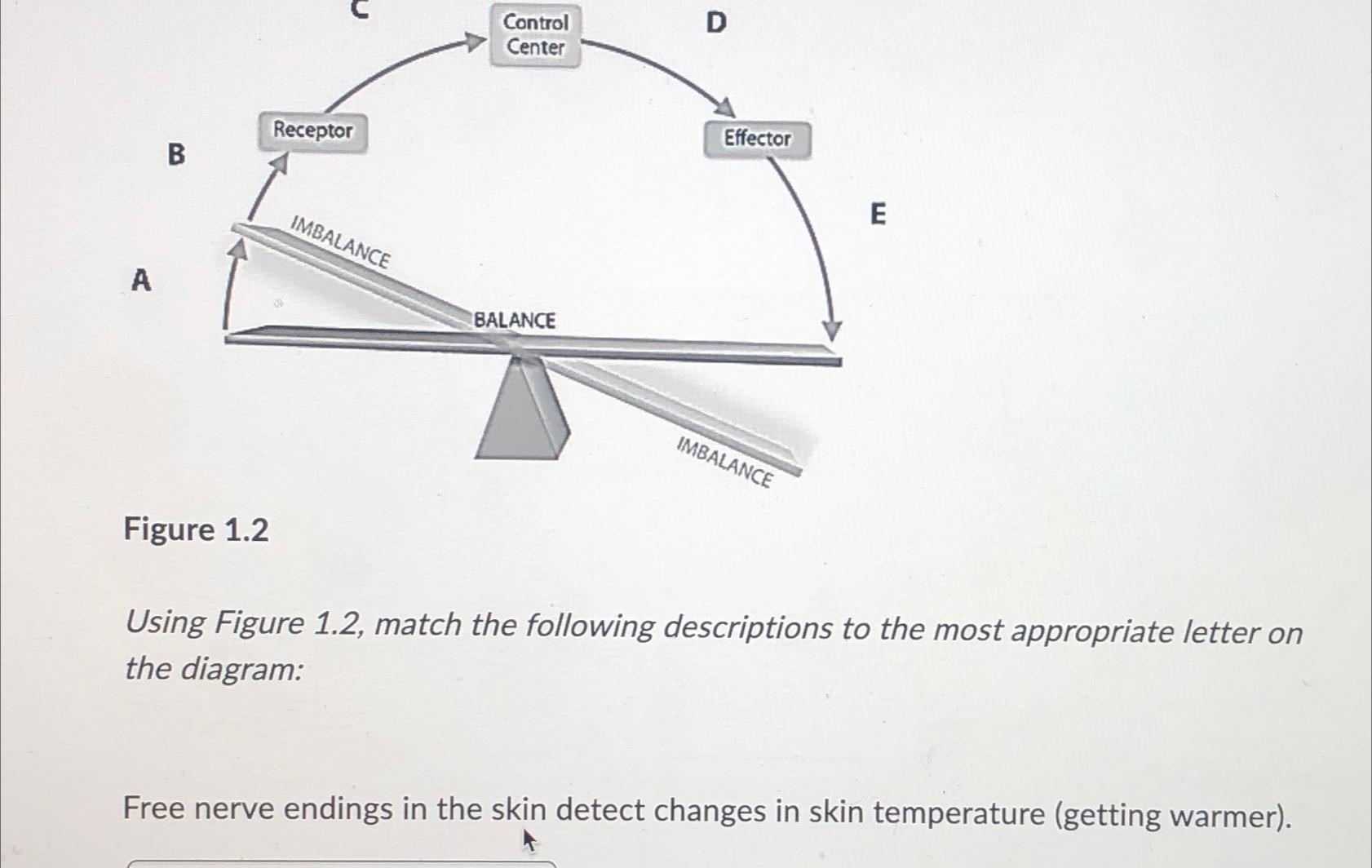 Solved BAFigure 1.2Using Figure 1.2, match the following | Chegg.com Solved BAFigure 1.2Using Figure 1.2, match the following | Chegg.com