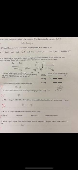 Thet in zunitme: miteme frontakin pajt | Chegg.com