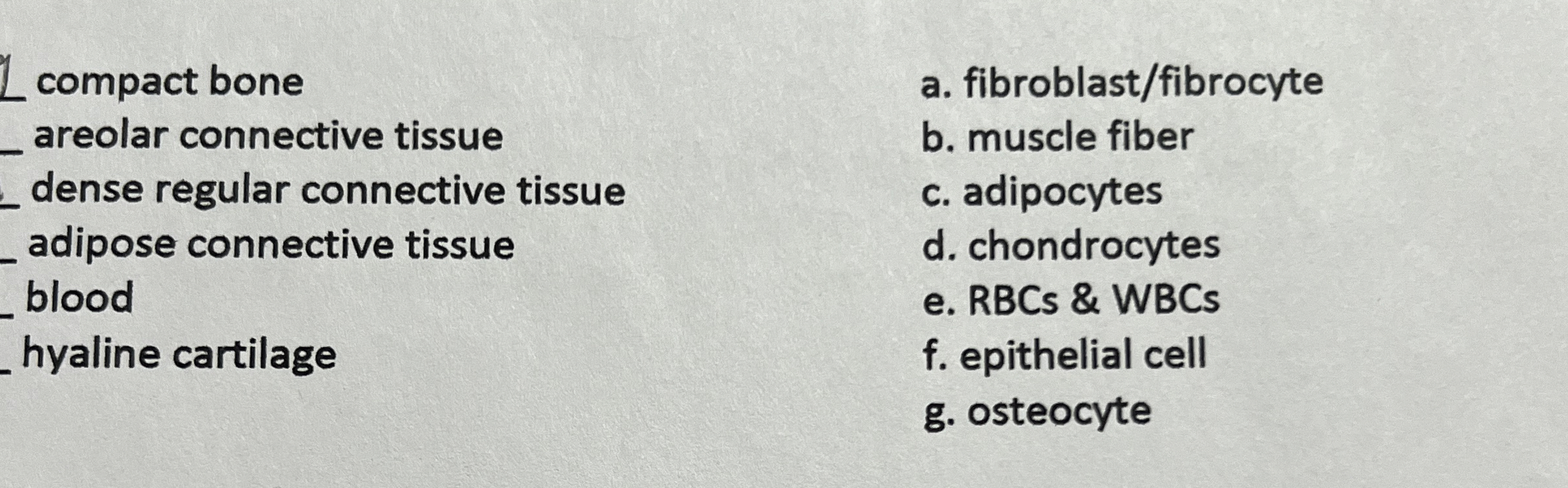 Solved L ﻿compact bone_ ﻿areolar connective tissuea. | Chegg.com