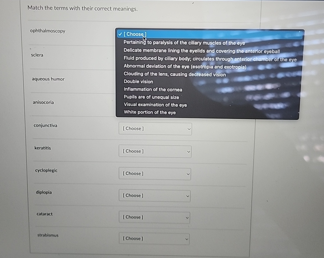 Solved Match the terms with their correct | Chegg.com