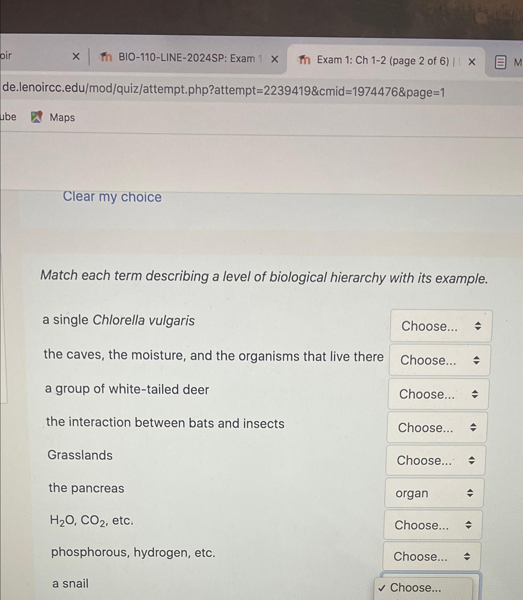Solved Clear my choiceMatch each term describing a level of | Chegg.com