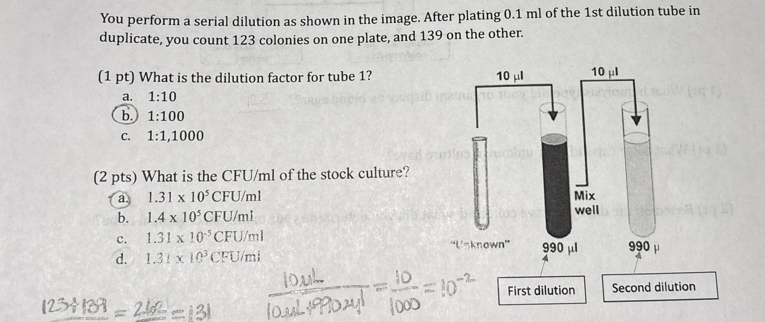 Solved You perform a serial dilution as shown in the image. | Chegg.com