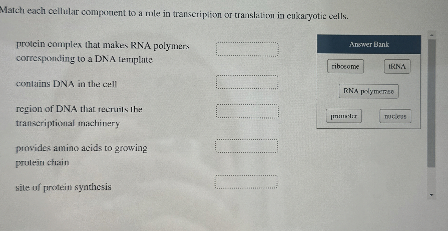 Solved Match each cellular component to a role in | Chegg.com