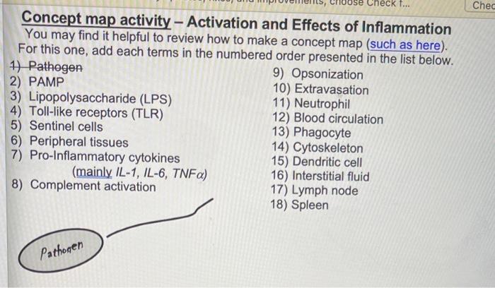 Solved Concept map activity - Activation and Effects of | Chegg.com