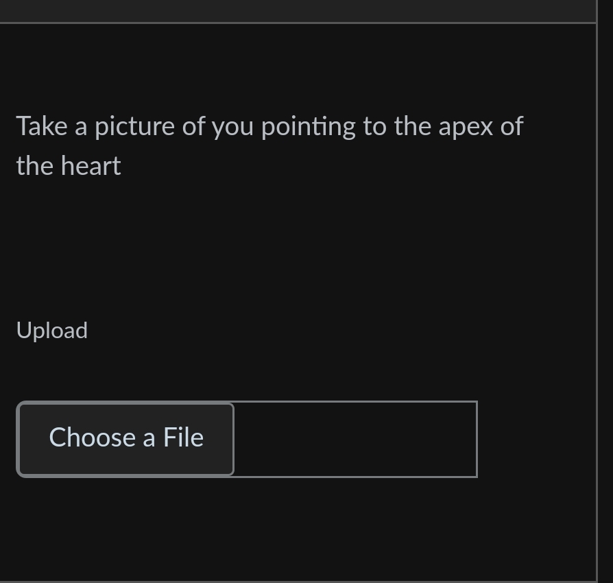 Solved Take a picture of you pointing to the apex of the | Chegg.com