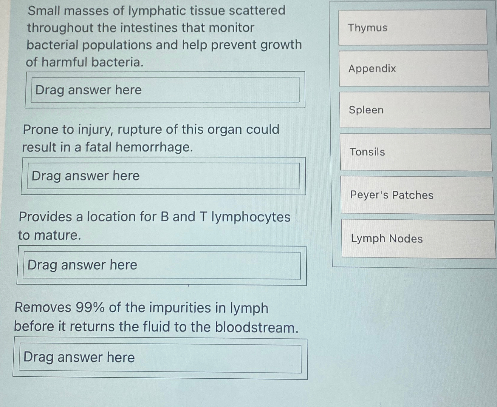 Solved Small masses of lymphatic tissue scattered throughout | Chegg.com