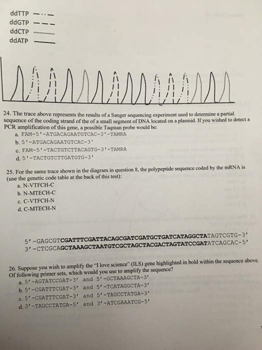 Solved ddTTP -..- ddGTP -- ddcТР ddATP 24. The trace above | Chegg.com