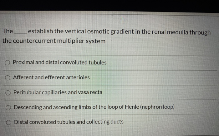 Solved The establish the vertical osmotic gradient in the | Chegg.com