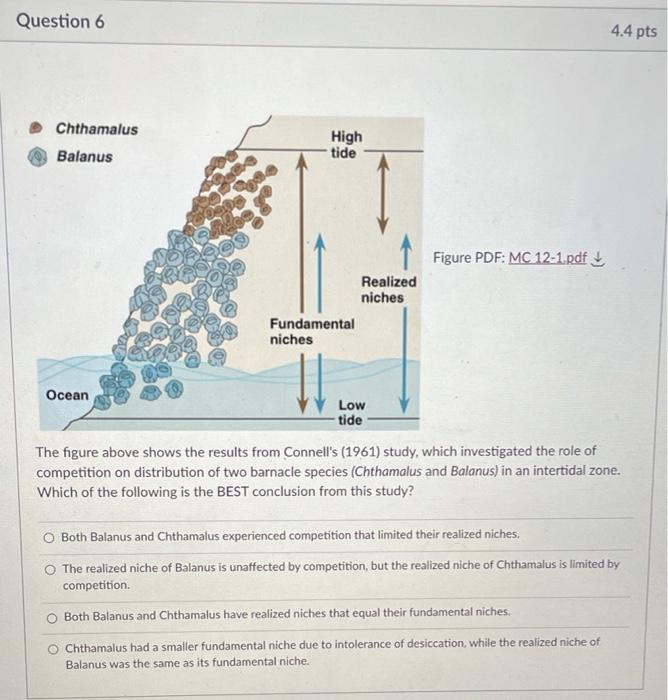 Solved Question 6 4.4 pts Chthamalus High tide Balanus | Chegg.com