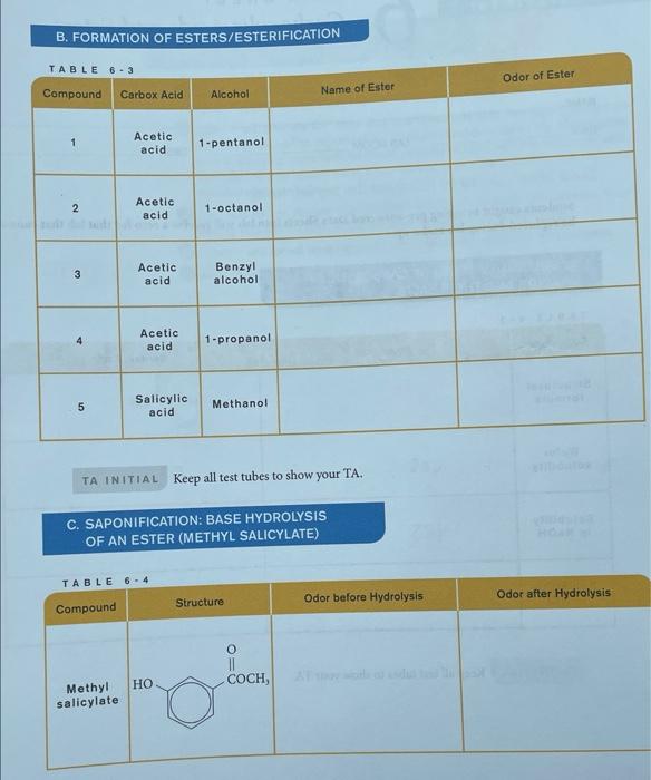 Solved B. FORMATION OF ESTERS/ESTERIFICATION Keep all test | Chegg.com
