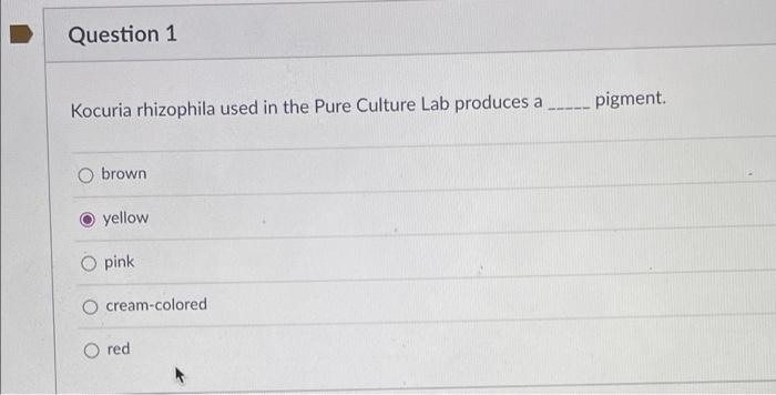 Solved Question 1 Kocuria rhizophila used in the Pure | Chegg.com