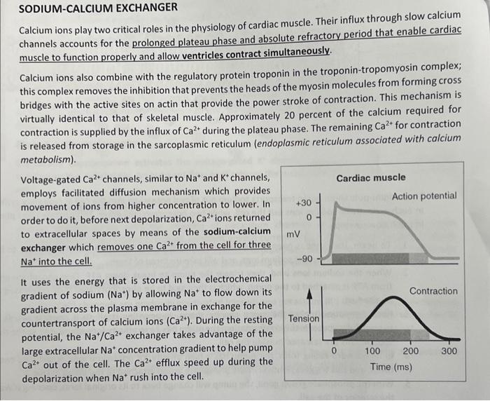 Solved Question: How does the sodium calcium exchanger work | Chegg.com