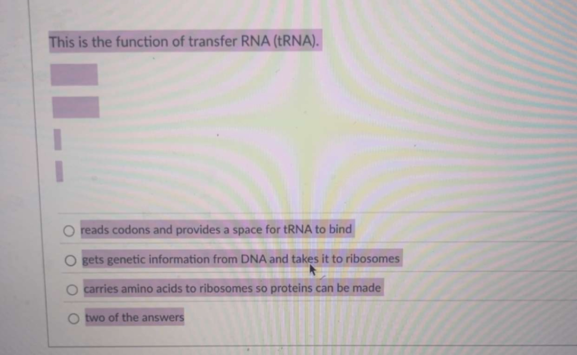 High Quality SOLUTION This is the function of transfer RNA (tRNA). reads | Chegg.com