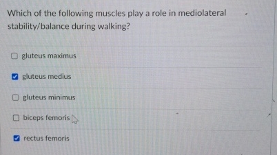 Solved Which of the following muscles play a role in | Chegg.com