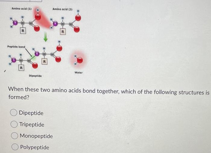 Solved Question 65 (2 points) lonic bonds: Contain cations | Chegg.com