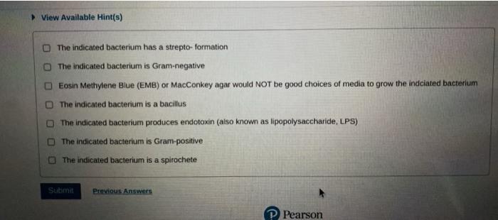 Solved Use the micrograph of the Gram stain to draw | Chegg.com
