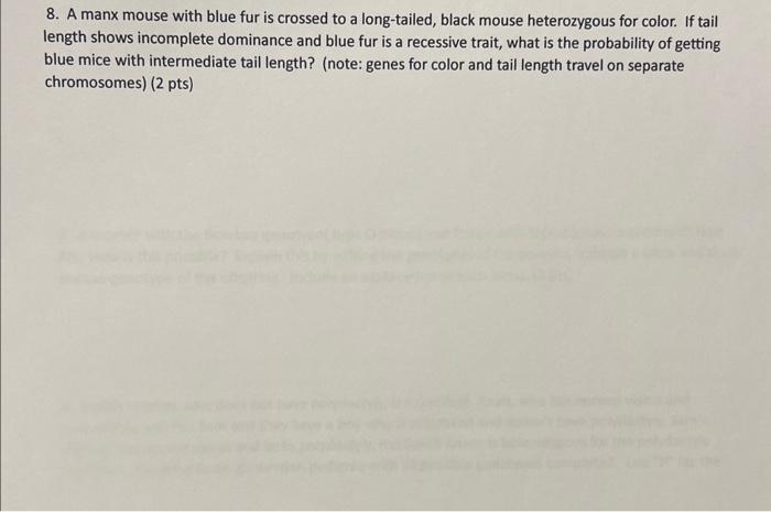 Solved 8. A manx mouse with blue fur is crossed to a | Chegg.com