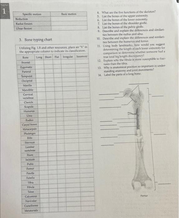 4. What are the five functions of the skeleton? 5. | Chegg.com