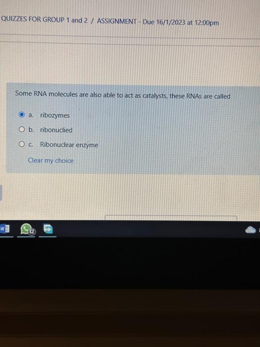 Solved QUIZZES FOR GROUP 1 and 2 / ASSIGNMENT - Due | Chegg.com
