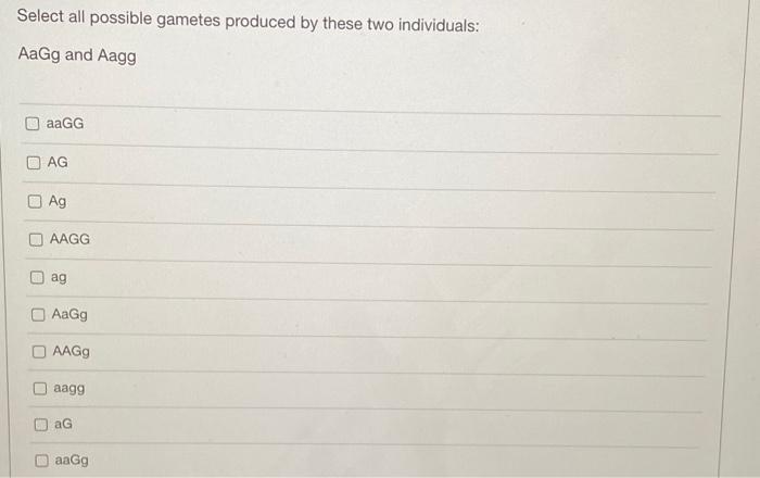 Select all possible gametes produced by these two | Chegg.com