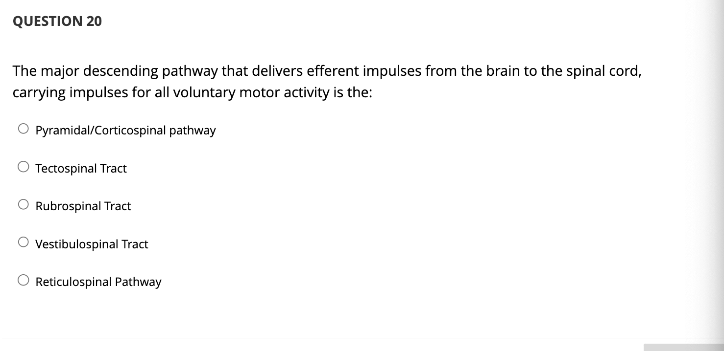 Solved QUESTION 20The major descending pathway that delivers | Chegg.com