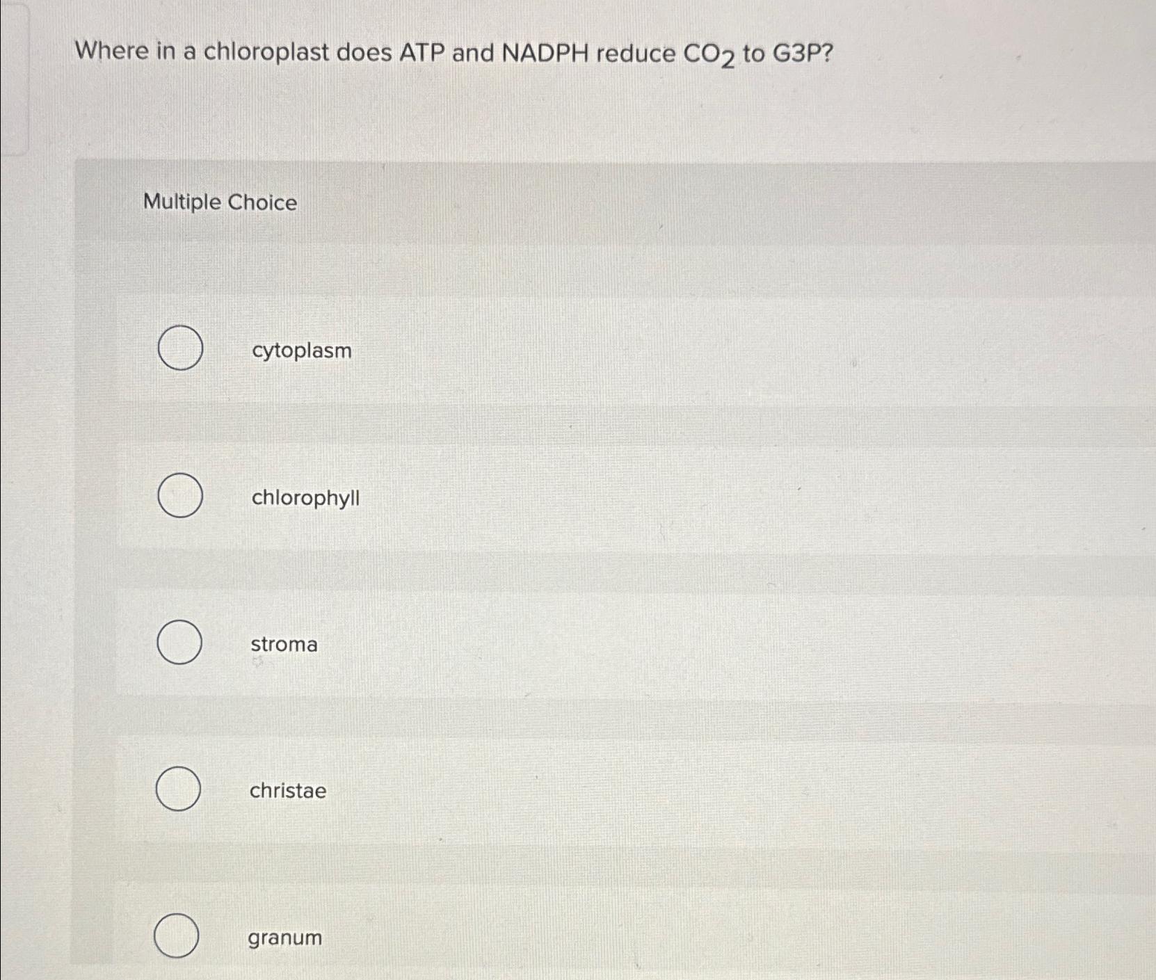 Solved Where in a chloroplast does ATP and NADPH reduce CO2 | Chegg.com