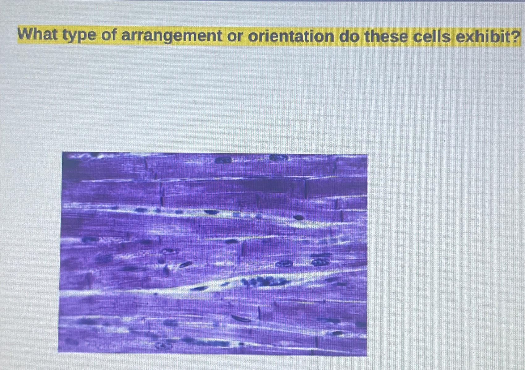 Solved What type of arrangment or orientation do these cells | Chegg.com