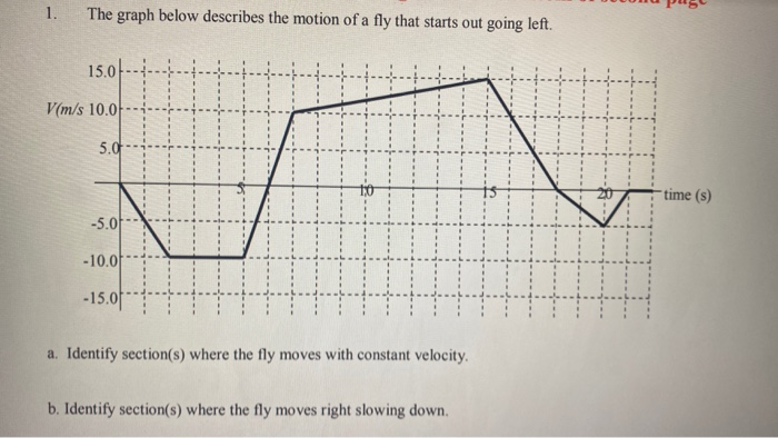 Solved 1. The graph below describes the motion of a fly that | Chegg.com