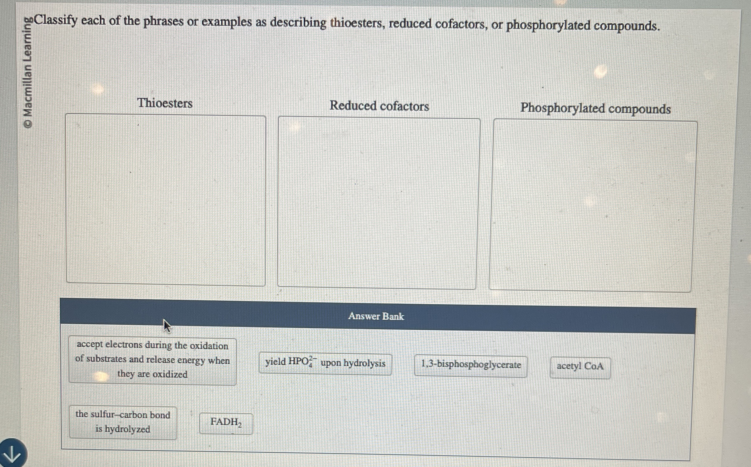 Solved Phosphorylated compoundsaccept electrons during the | Chegg.com