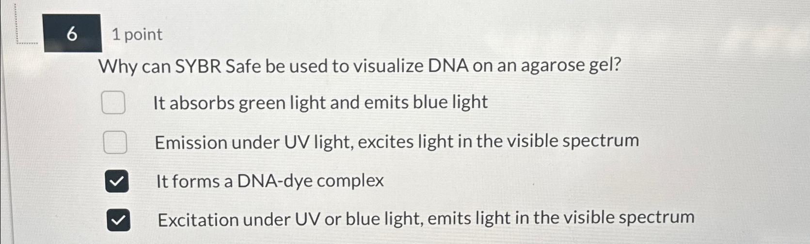 Solved 61 ﻿pointWhy can SYBR Safe be used to visualize DNA | Chegg.com