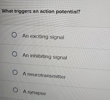 Solved What triggers an action potential?An exciting | Chegg.com