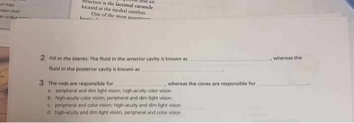 Solved Une and an Structure is the lacrimal caruncle located | Chegg.com