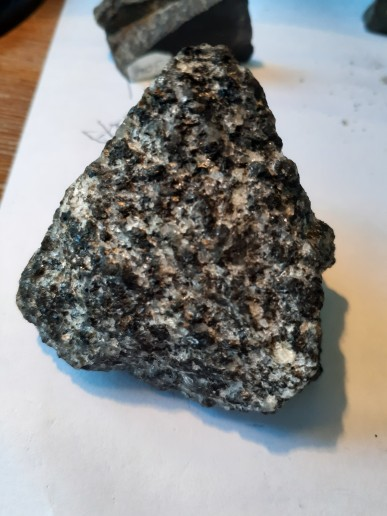 Solved any ideas on these metamorphic rocks. protolith is | Chegg.com