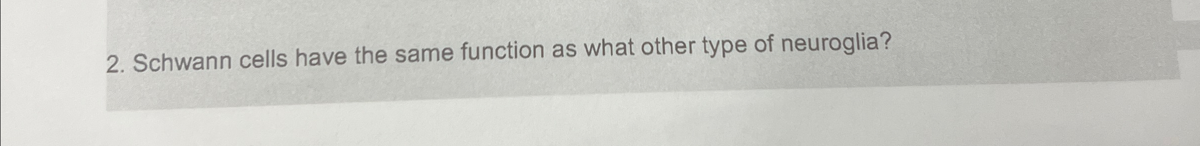 Solved Schwann cells have the same function as what other | Chegg.com