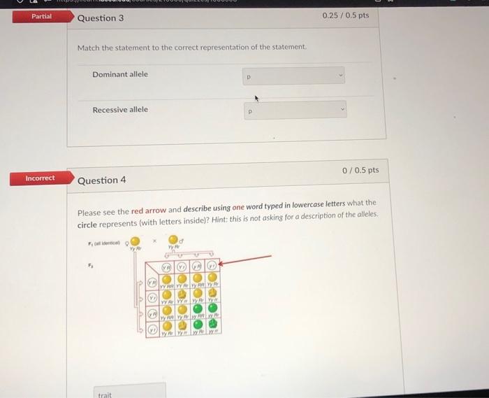 Solved Match the statement to the correct representation of | Chegg.com