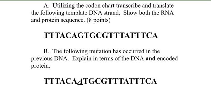Solved A. Utilizing the codon chart transcribe and translate | Chegg.com